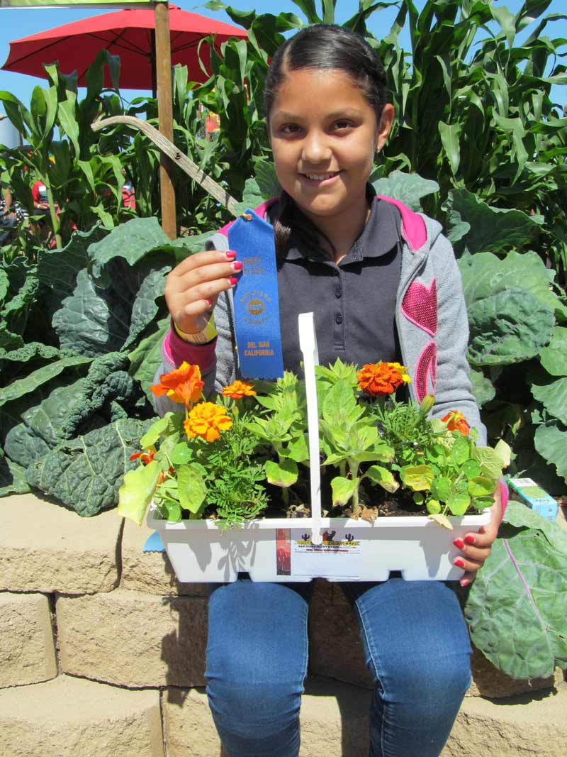 Plant*Grow*Eat Bus Program Offers Kids an Edible Education | Don Diego ...