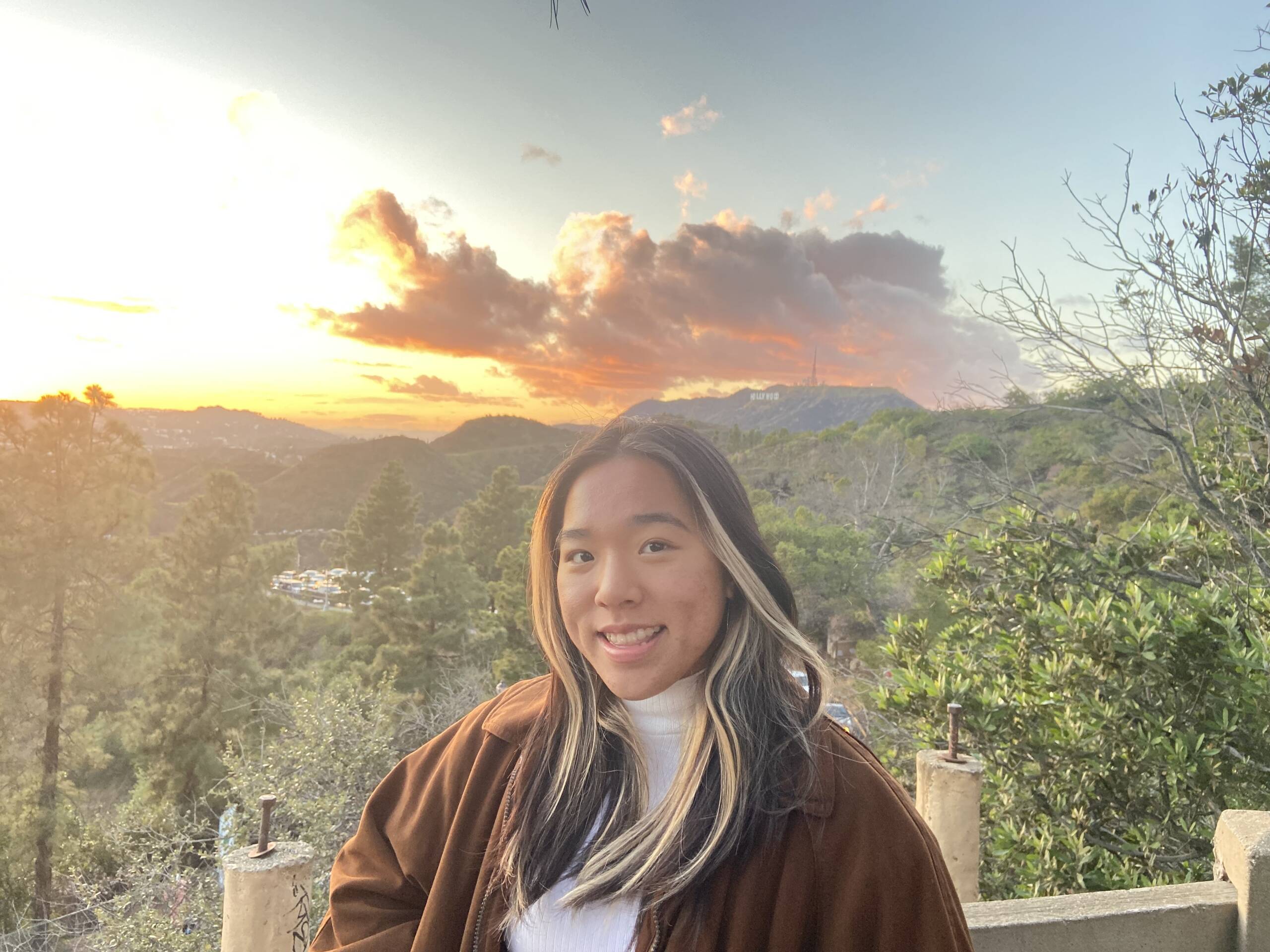 A Portrait of Excellence: 2020 Scholar Allison Shao | Don Diego ...