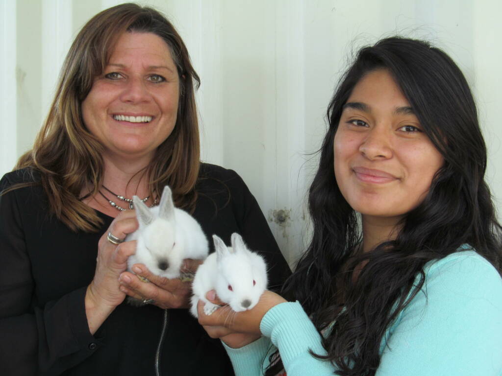 Teaching Agriculture is a Career and a Calling for Vista High’s Sara ...